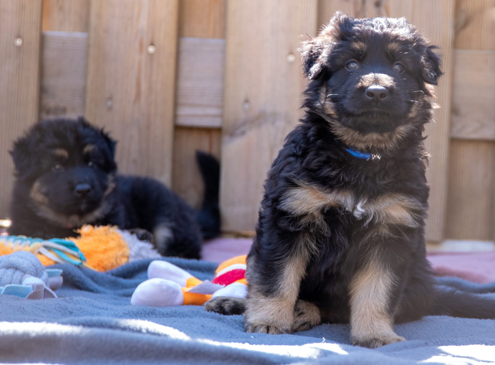 Chubby Checker – Black Pearl's Flow