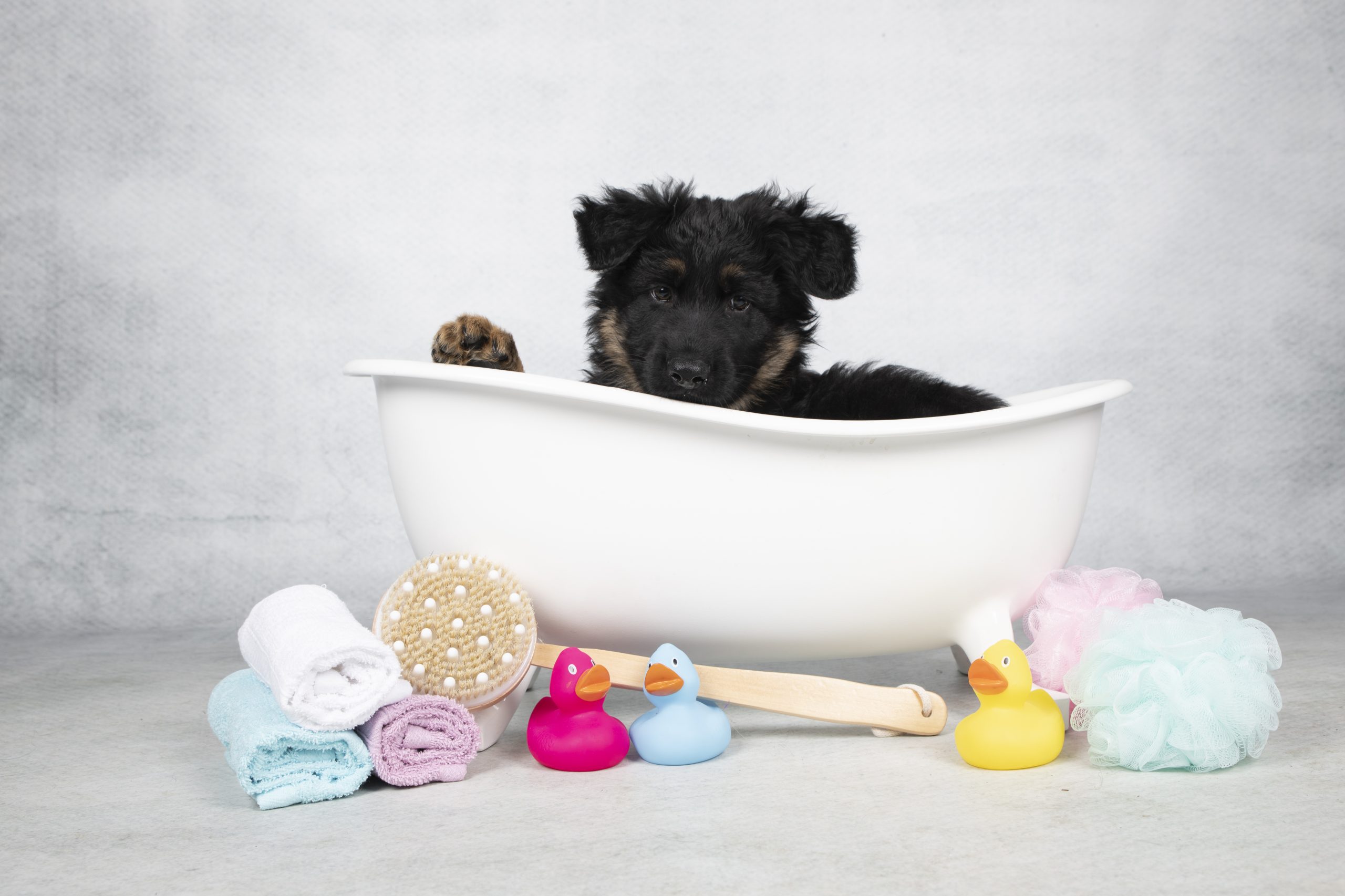 Chubby Checker – Black Pearl's Flow